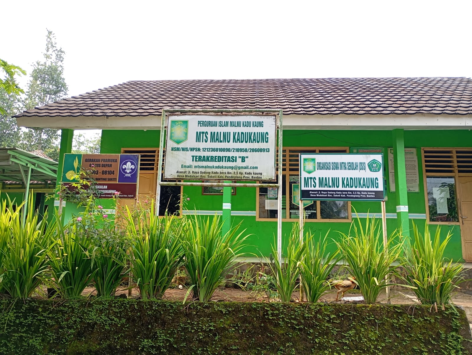 Profil Desa Medalsari